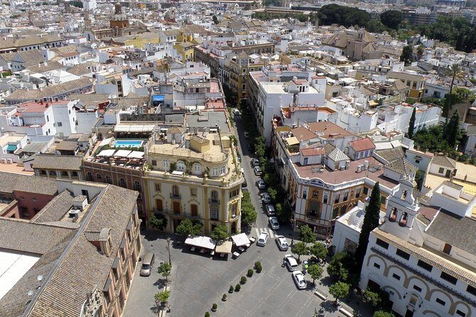 Seville Day Trip from the Algarve - Transportation and Logistics