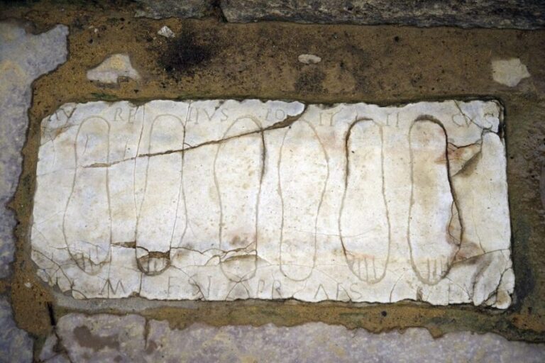 Seville: Italica Roman Ruins City Tour - Who Will Love This Tour?