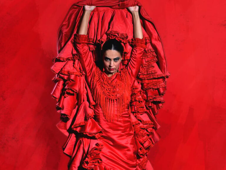 Seville: Live Flamenco Dancing Show Ticket at the Theater - An In-Depth Look at the Flamenco Show Experience