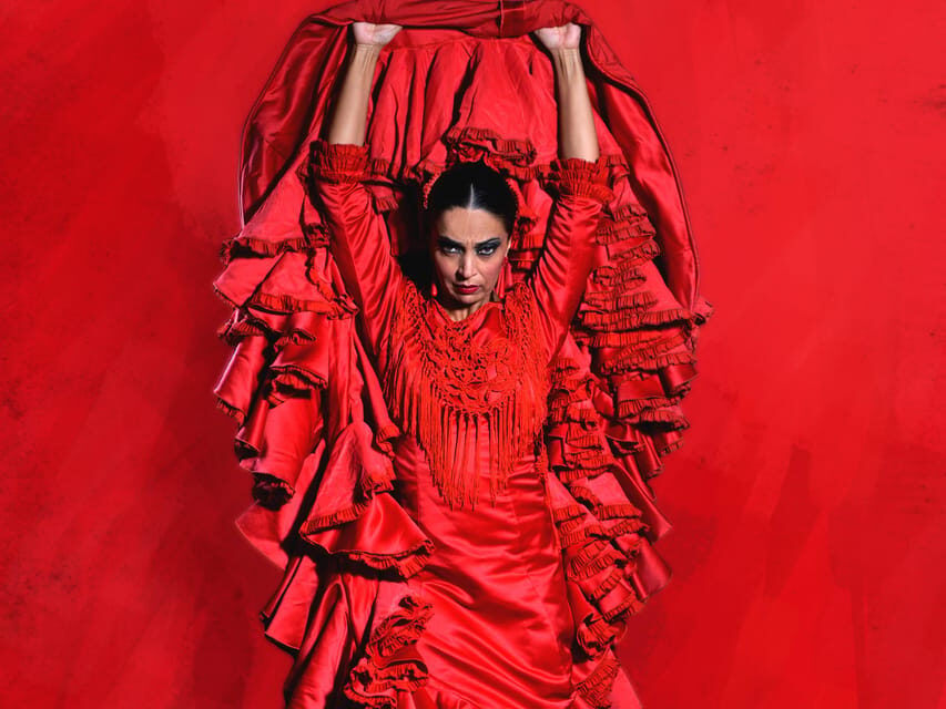 Seville: Live Flamenco Dancing Show Ticket at the Theater - An In-Depth Look at the Flamenco Show Experience