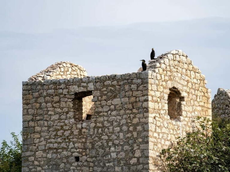 Short Skadar Lake Boat Tour to Moraa River with Drinks - Who Is This Tour Perfect For?