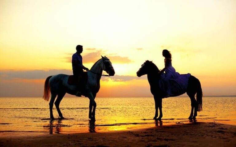 Side: Horseback Riding Tour in Nature - Authenticity and Real Traveler Experiences