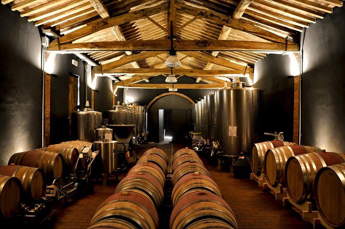 Siena: A Wine Tour and Tasting Experience - Who Should Do This Tour?