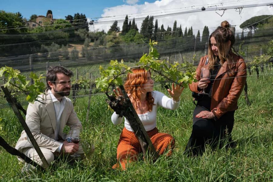 Siena: Educational Wine Tour & Tasting - Practical tips for making the most of your visit