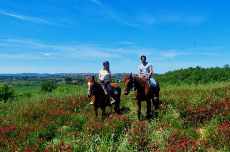 Siena: Horseback Riding Tour in the Tuscany Countryside - What to Expect: A Well-Organized, Authentic Experience