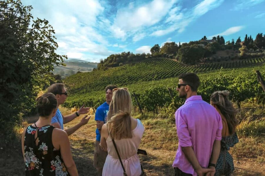 Siena: Organic Winery Tour and Wine Tasting - Exploring the Heart of Siena’s Organic Vineyard