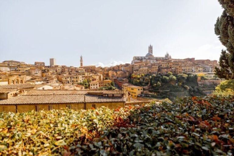 Siena: Private Custom Tour with a Local Guide - What’s Included and What’s Not?