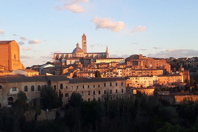 Siena walking tour with lunch & Chianti wine - Who Would Love This Tour?