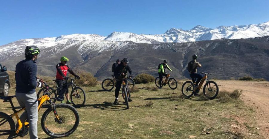 Sierra Nevada Small Group E-Bike Tour - Wildlife and Nature Encounters