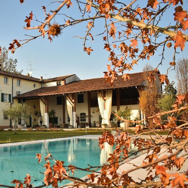 Sirmione: Vineyard Tour with Lugana Wines and Local Tastings - The Itinerary: What to Expect