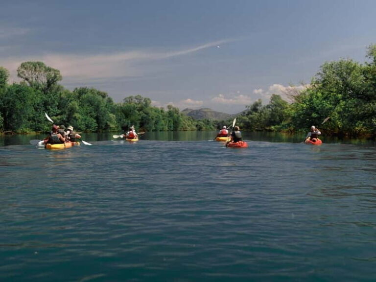 Skadar Lake: 4-Hour Guided tours on Kayak - The Sum Up: Is This Tour Worth It?