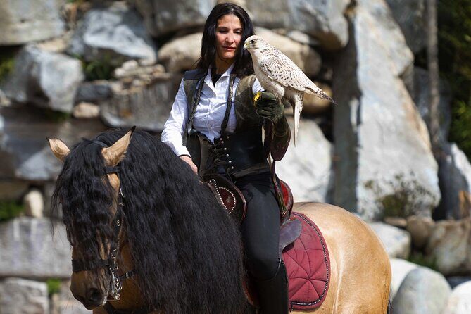 Skip the Line: Falconeria Locarno Ticket - The Value of Your Ticket: Is It Worth It?