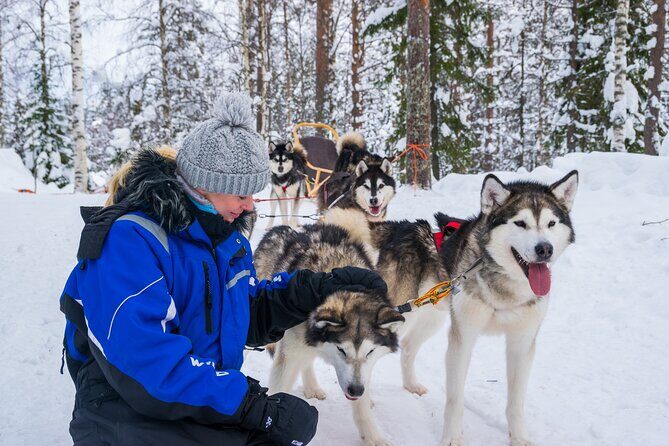 Small-Group Husky Mushing Experience in Rovaniemi - The Huskies: Friendly, Energetic, and Well-Cared-For