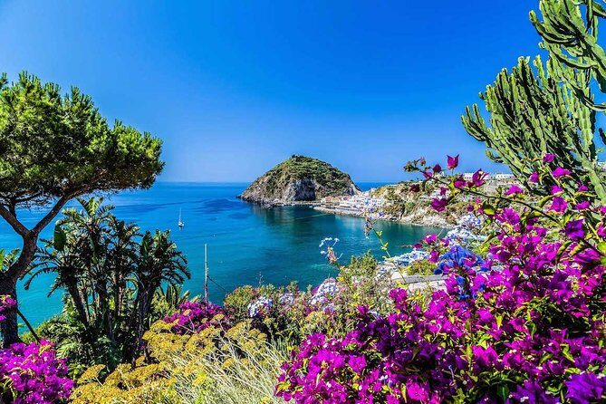 Small Group Ischia and Procida Boat Day Tour from Sorrento - The Experience in Detail