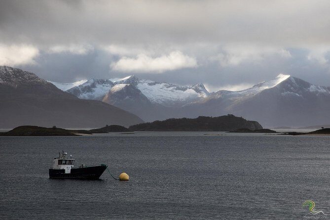 Small-Group Norwegian Fjords Tour from Tromso with Photos - What to Expect on the Small-Group Fjord Tour