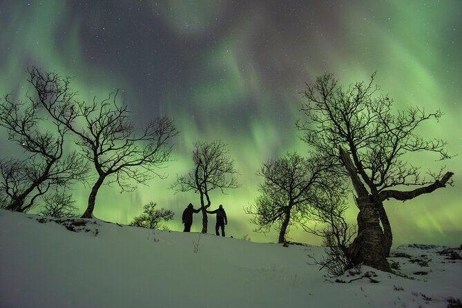Small Group Quest to find the Northern Lights in Tromsø - Who Should Consider This Tour?