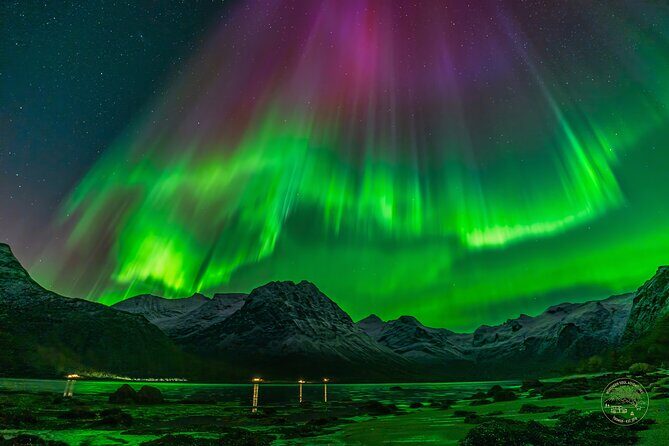 Small Group Van Journey in Search of the Northern Lights - An In-Depth Look at the Tour Experience