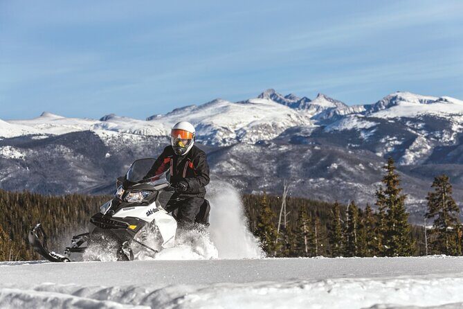 Snowmobile & Animals Day Tour - What to Expect from the Itinerary