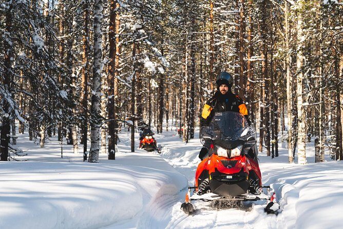 Snowmobile Safari into the Arctic Circle Forest - What to Expect from the Gear and Safety Measures