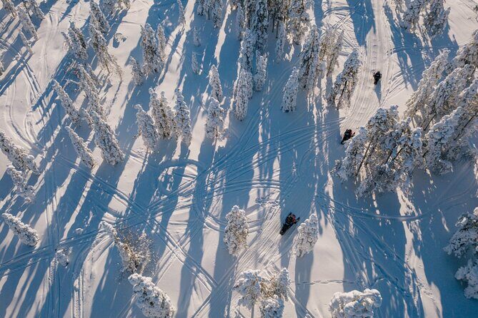 Snowmobile Safari through Lappish Forest from Rovaniemi - Who Will Love This Tour?