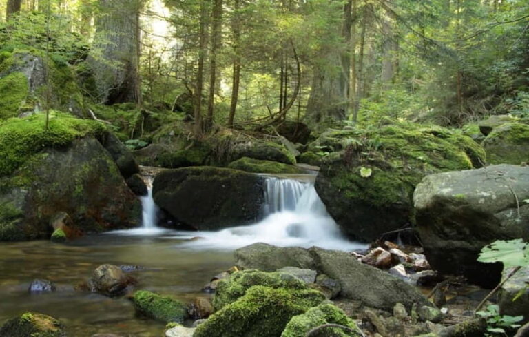 Sofia: Lovech, Devetaki Cave and Krushuna Waterfalls Tour - FAQ