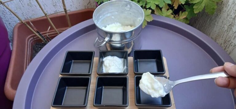 Sofia: Taste Bulgarian Yogurt Kiselo Mlyako in a Family Home - What Reviewers Have Said