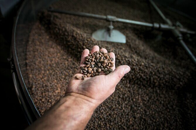 Song of the Sea: Fish, Seafood and Tradition in Lisbons Port Zone - Final Thoughts: Who Will Love This Tour?