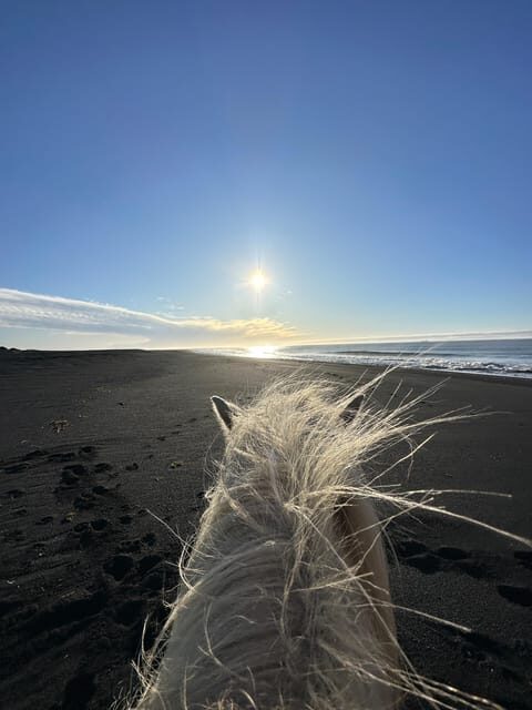 southern Iceland: Black beach riding tour - Who Is This Tour Best For?