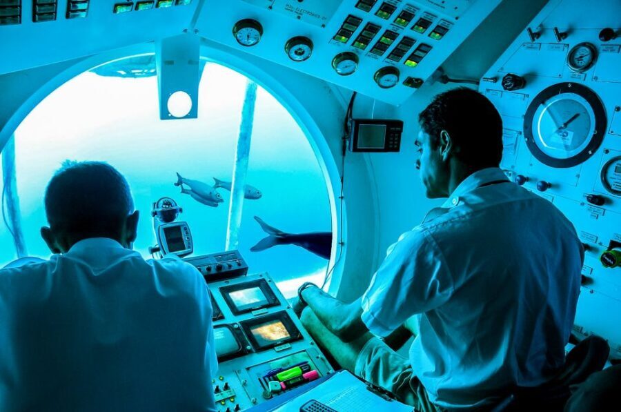 Southern Tenerife: 50-Minute Submarine Dive - What You Can Expect During the Tour