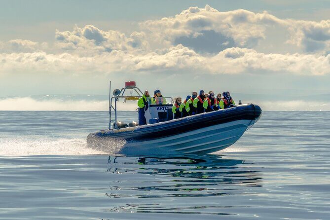 Speedboat Whale Watching Small-Group Tour in Reykjavik - Practical Details and Tips
