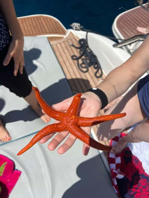 Split: 5 Islands Full-Day Tour to Blue Cave, Vis & Hvar - What Travelers Are Saying