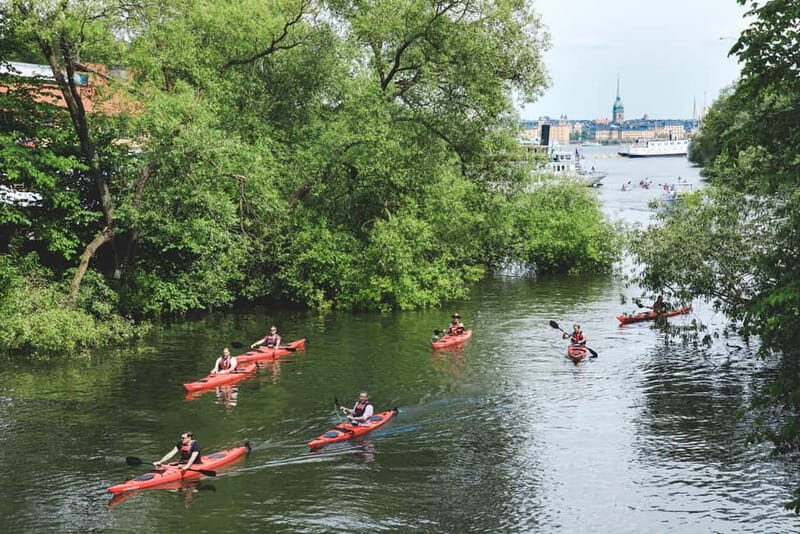 Stockholm: 2-Hour Guided Kayak Tour in City Center - What It Feels Like to Kayak in Stockholm