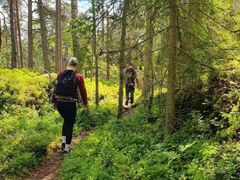 Stockholm: Nature Reserve Hiking Tour with Campfire Lunch - What Makes This Tour Stand Out?