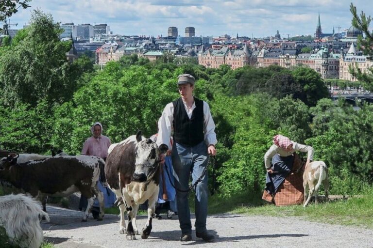 Stockholm: Skansen Open-Air Museum Admission Ticket - Seasonal Attractions and Events