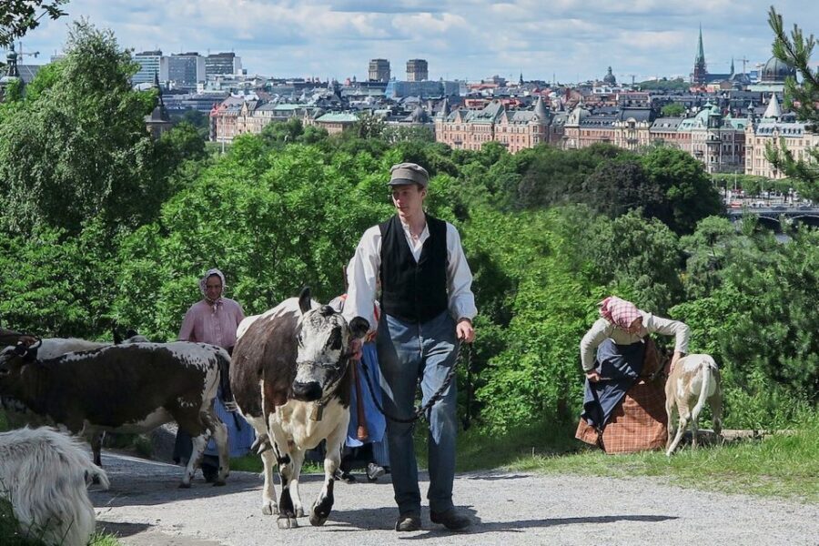 Stockholm: Skansen Open-Air Museum Admission Ticket - Seasonal Attractions and Events