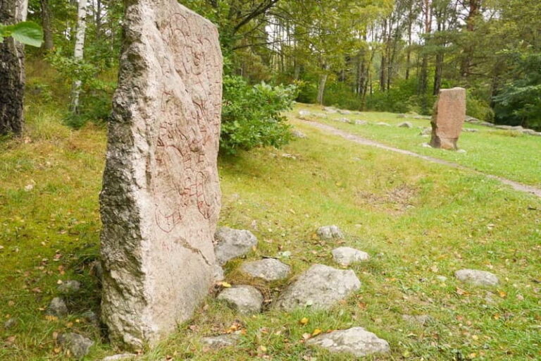 Stockholm Viking History Full Day Tour to Sigtuna + Uppsala - What Makes This Tour Stand Out?
