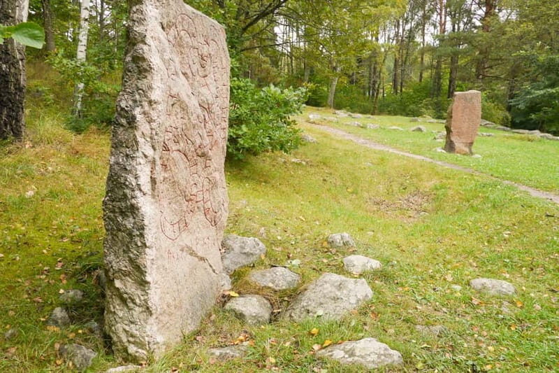 Stockholm Viking History Full Day Tour to Sigtuna + Uppsala - What Makes This Tour Stand Out?