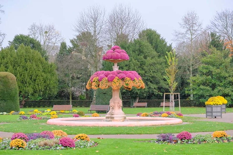 Strasbourg: 1.5-Hour Guided Segway Tour - What Makes This Tour Stand Out?