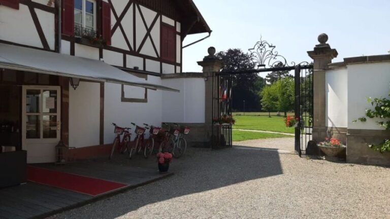 Strasbourg: 1-Day Bike Rental - The Experience: What You Can Expect