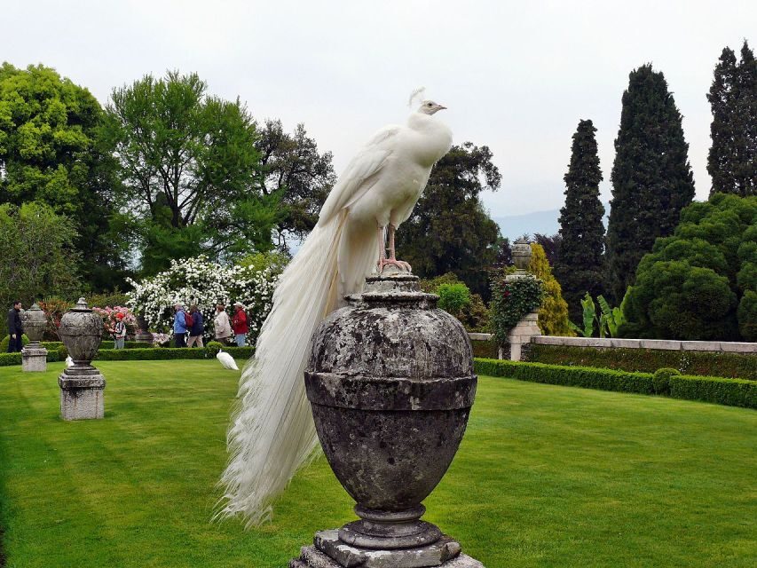 Stresa: Madre & Bella Borromean Islands Boat Trip - How the Itinerary Unfolds