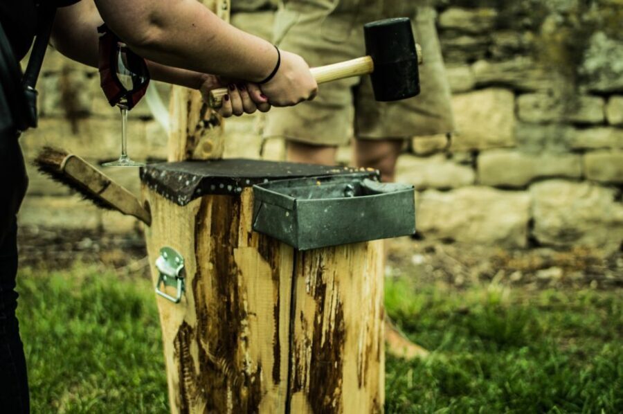 Stuttgart: Guided Vineyards Tour - An In-Depth Look at the Stuttgart Guided Vineyards Tour