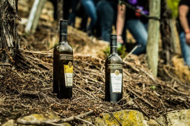 Stuttgart: Vineyard Tour by Covered Wagon - The Value and Considerations