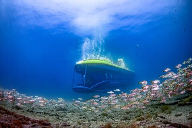 SUBMARINE ADVENTURE - Submarine Excursion in Puerto de Mogán - Detailed Breakdown of the Itinerary