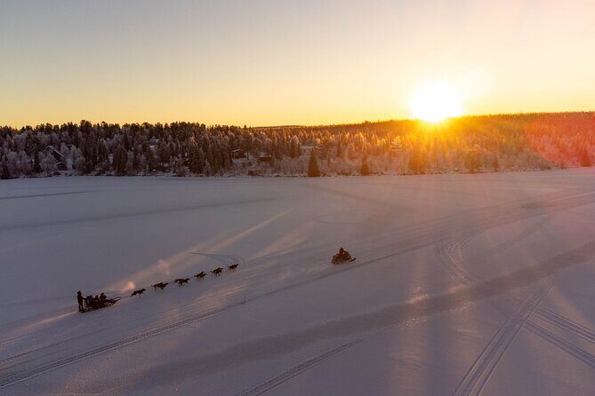 Sunrise Zen Husky Tour (10:00 to 13:00 - sitting on the sled) - What to Expect from the Sunrise Zen Husky Tour