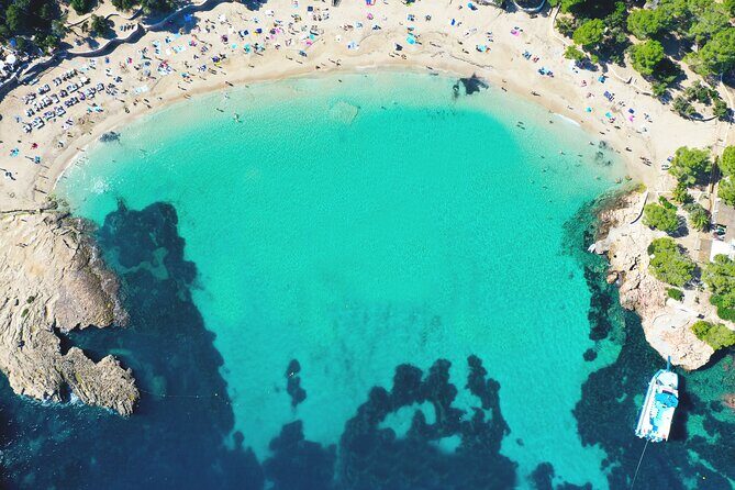 Sunset Beach Hopping Cruise, Cala Comte and Cala Bassa, SUP and snorkelling - Why This Tour Stands Out