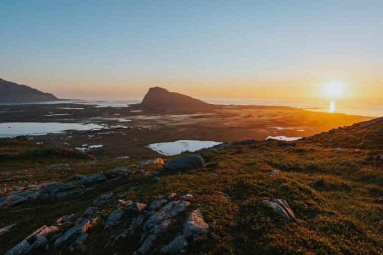 Svolvær: Lofoten Scenic Sightseeing Tour: Half day tour - Why This Tour Works for Travelers
