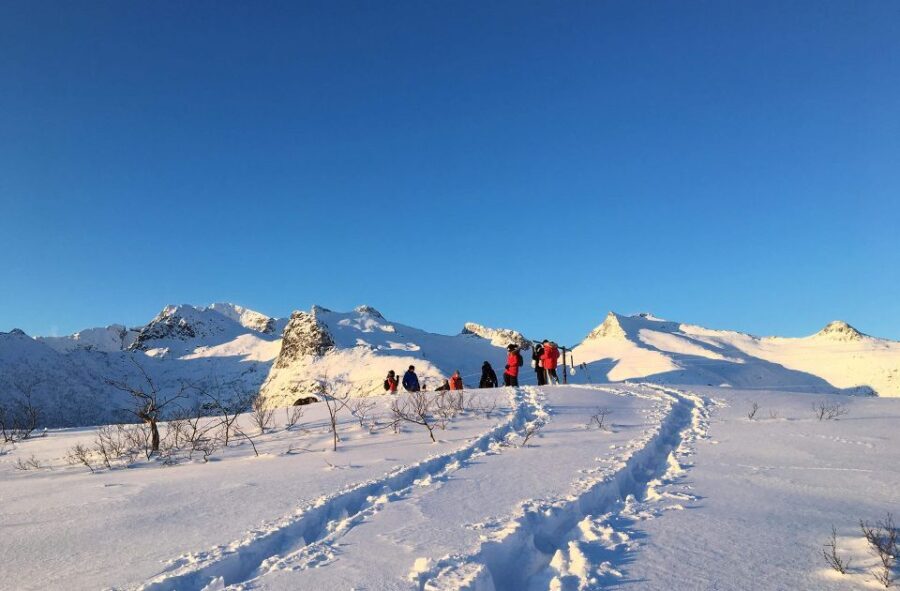 Svolvær: Snowshoe Nature Explorer - Why Choose the Snowshoe Nature Explorer?