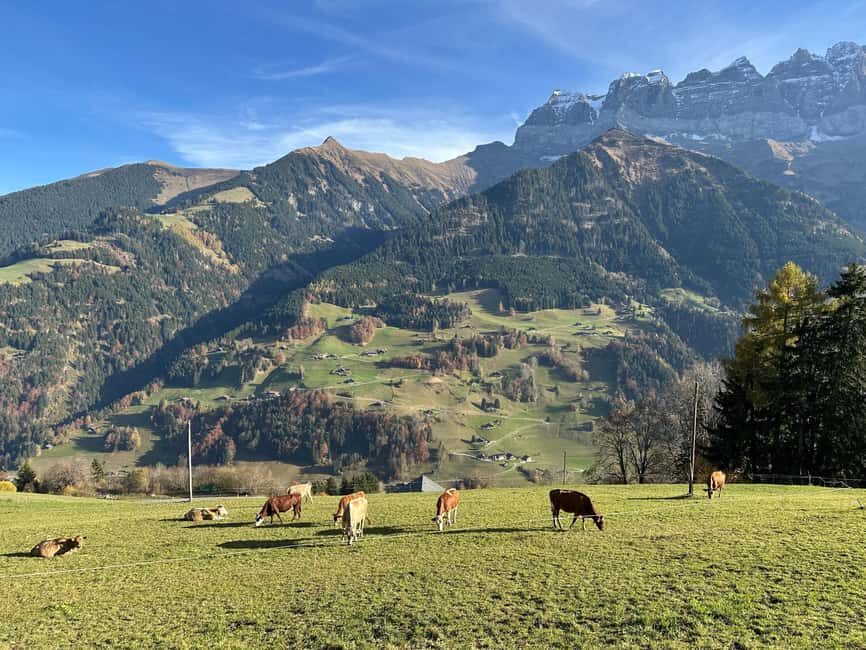 Swiss Cheese Tasting Experience | Basel - The Sum Up: Who Should Sign Up?