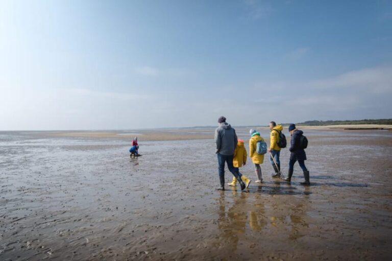 Sylt: Guided Mudflat Hike on the Island - An In-Depth Look at the Mudflat Hike Experience