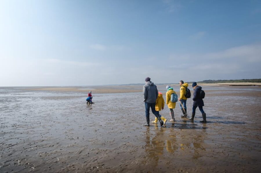 Sylt: Guided Mudflat Hike on the Island - An In-Depth Look at the Mudflat Hike Experience